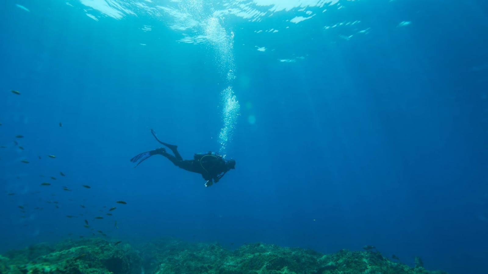 Scuba diving in the Canary Islands | Hello Canary Islands