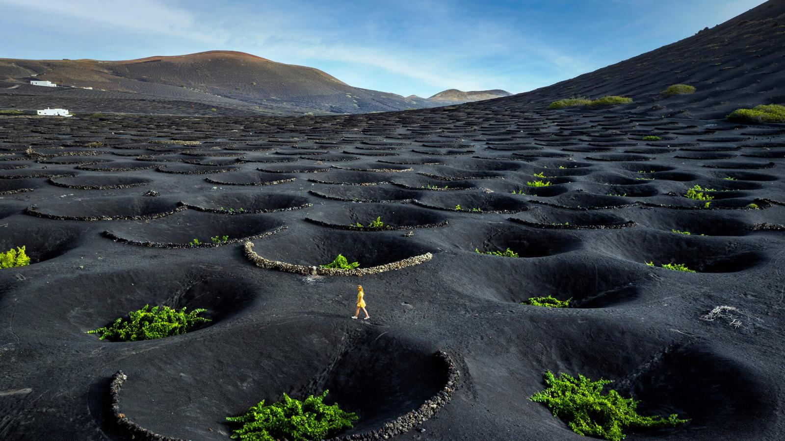 The Protected Landscape of La Geria | Hello Canary Islands