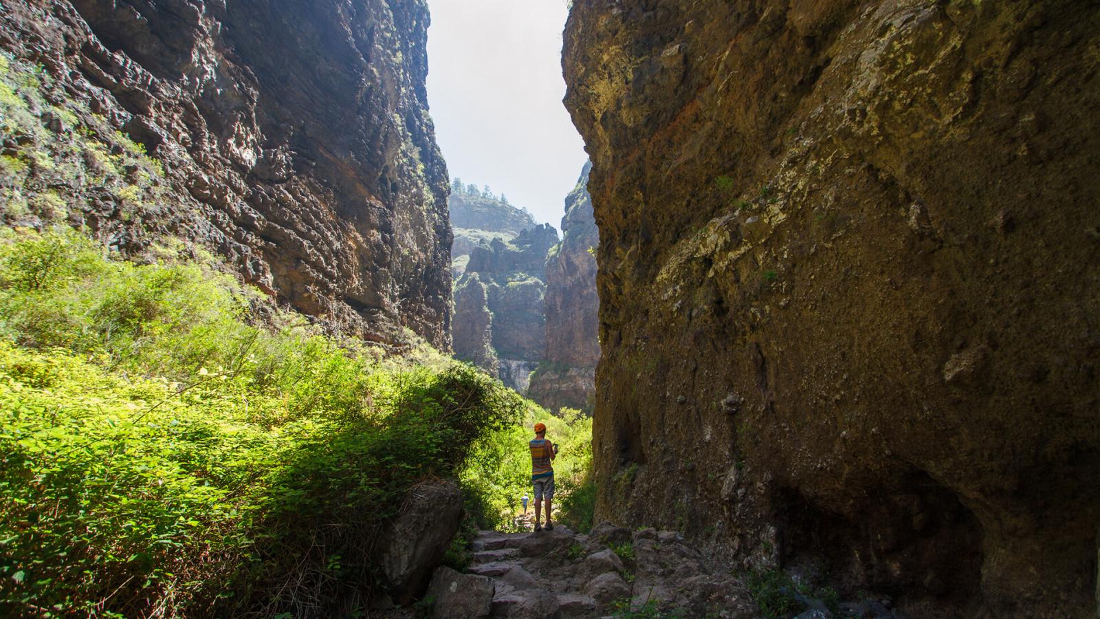 Barranco del Infierno | Hello Canary Islands