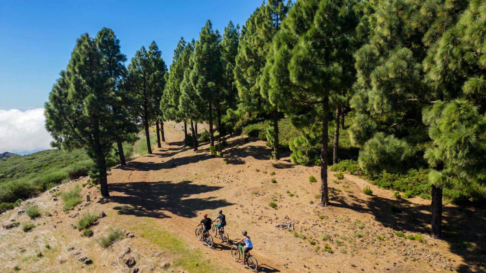 Towards the Alto, the sacred summit | Hello Canary Islands